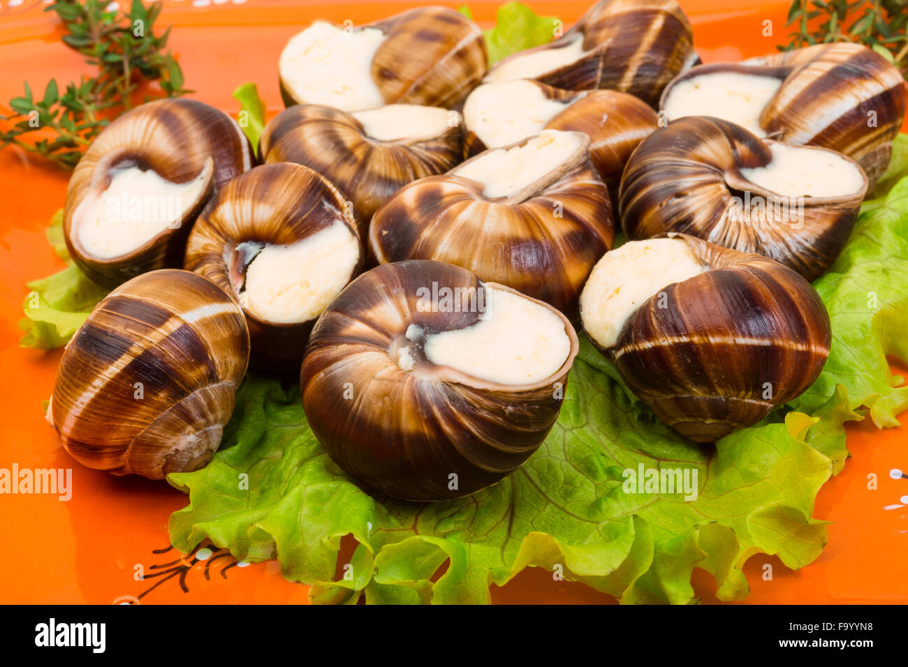 Escargot with cheese sauce Stock Photo - Alamy