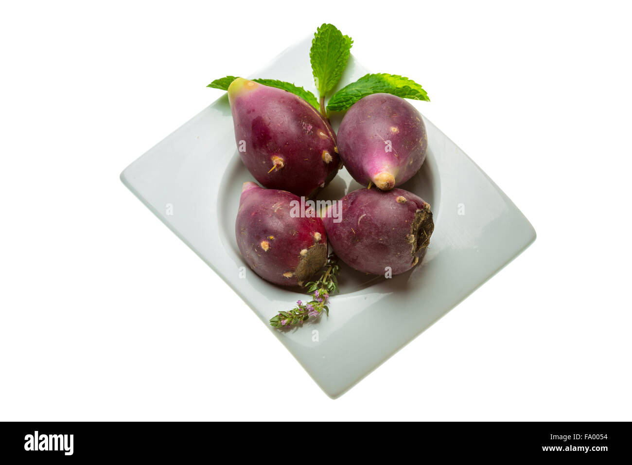 Sabr cactus hi-res stock photography and images - Alamy