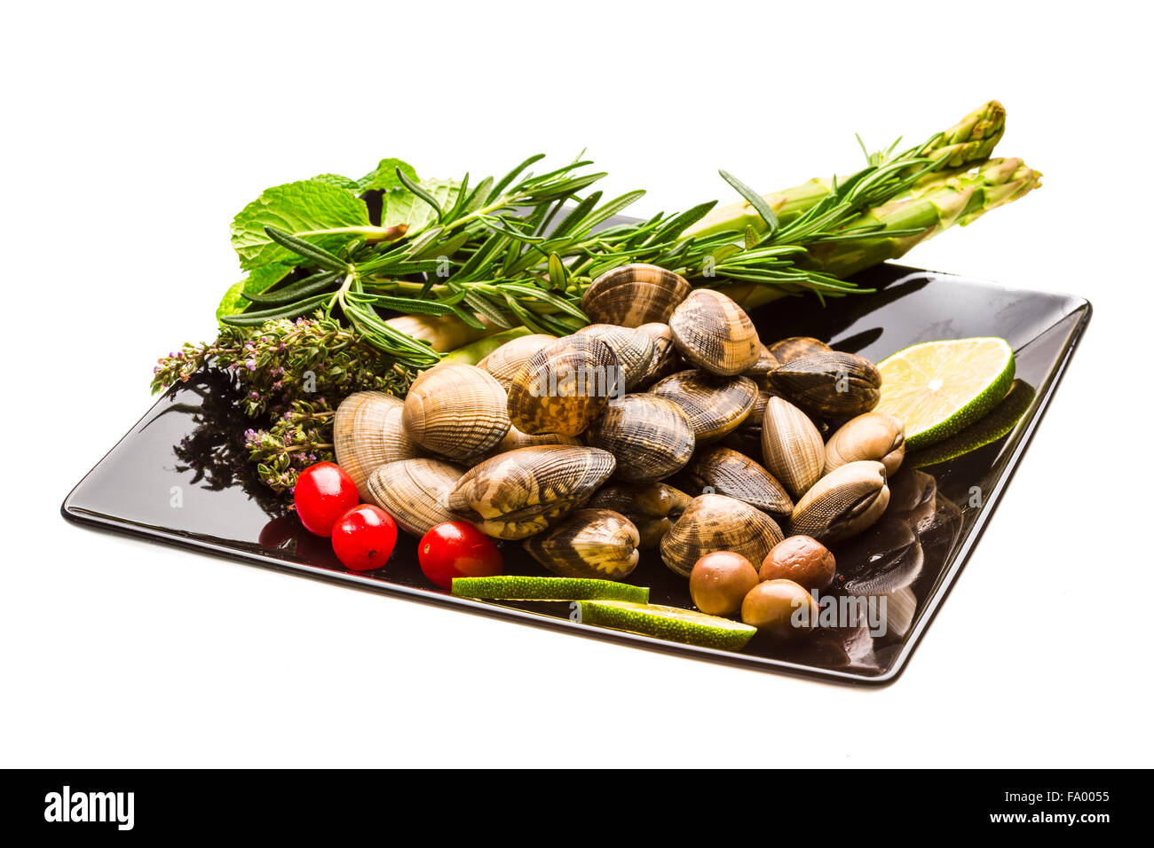 Open muscle shell hi-res stock photography and images - Alamy