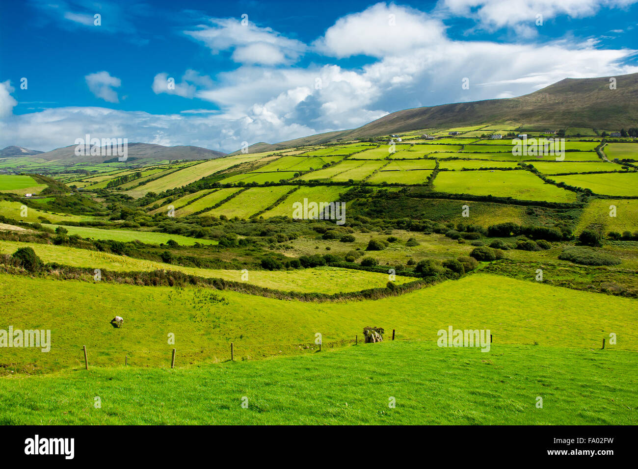 Rural Landscape With Pastures In Ireland Stock Photo - Alamy