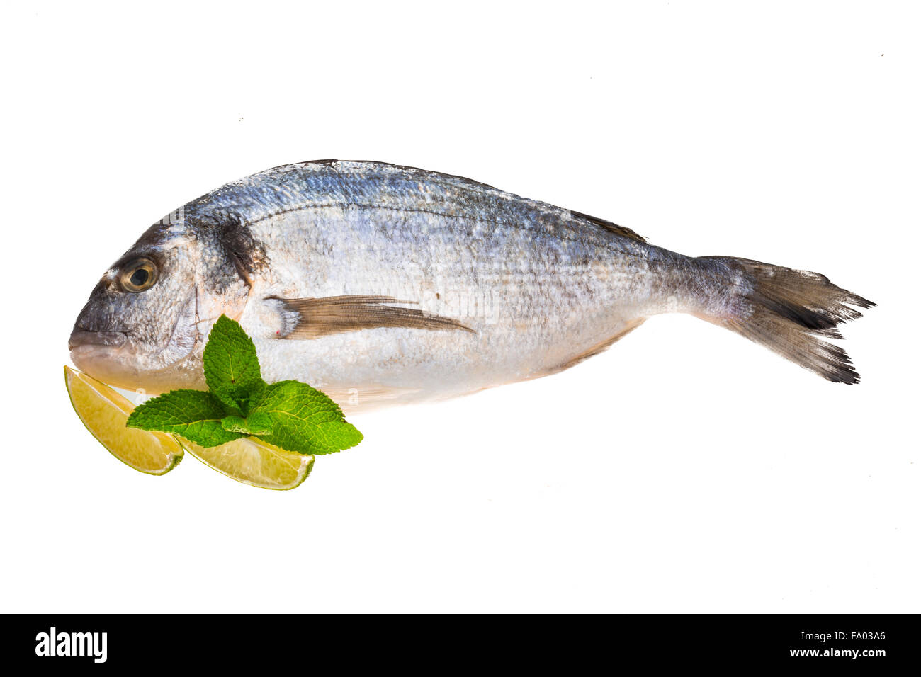 Fresh raw dorada Stock Photo - Alamy