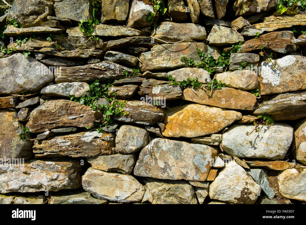 Ancient Stone Wall With Ivy Stock Photo - Alamy