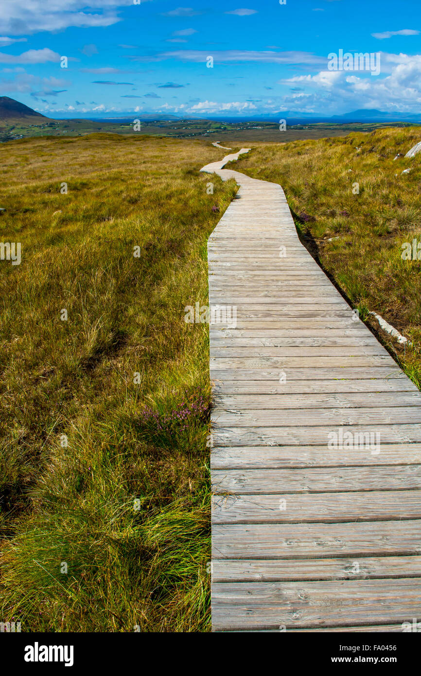 Narrow Track Upon A Hill Stock Photo - Alamy