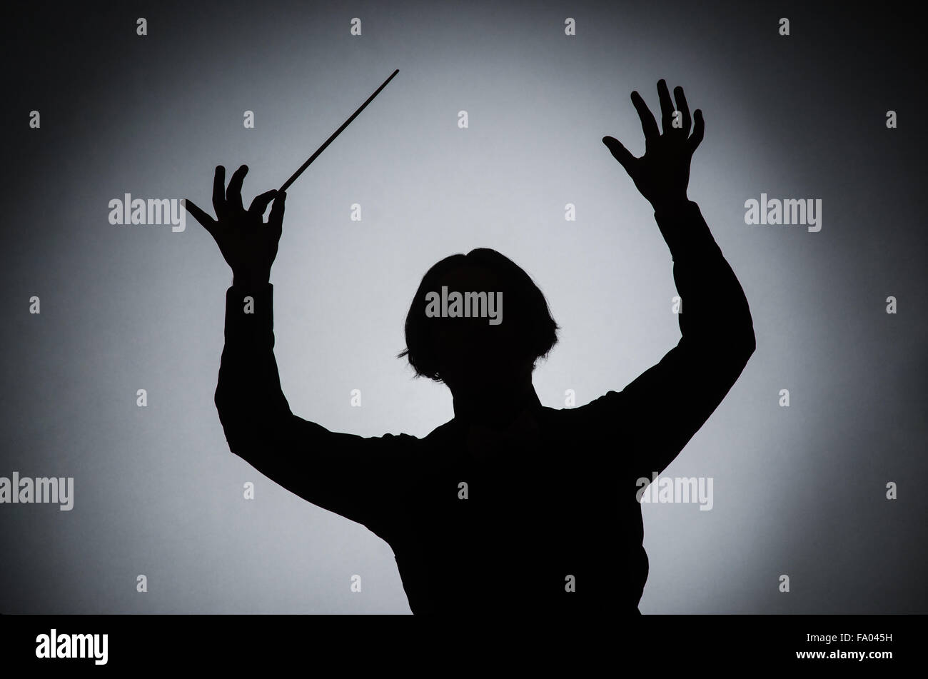 Funny conductor in musical concept Stock Photo - Alamy