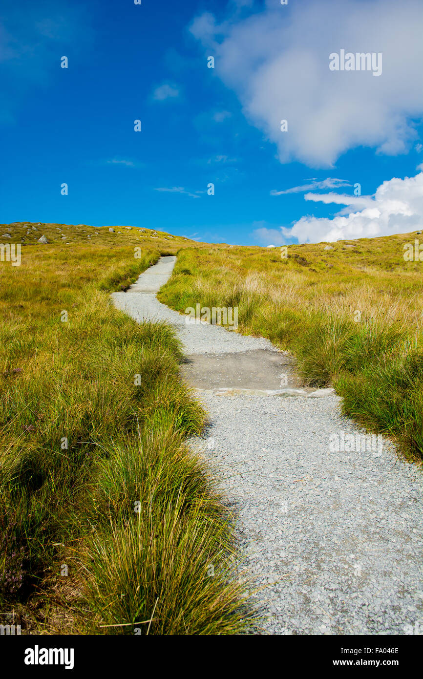 Narrow Track Upon A Hill Stock Photo - Alamy
