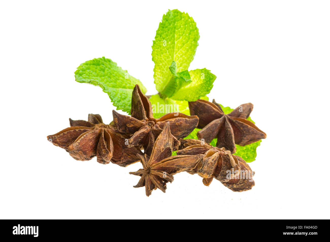 Star Anise and Mint isolated Stock Photo - Alamy