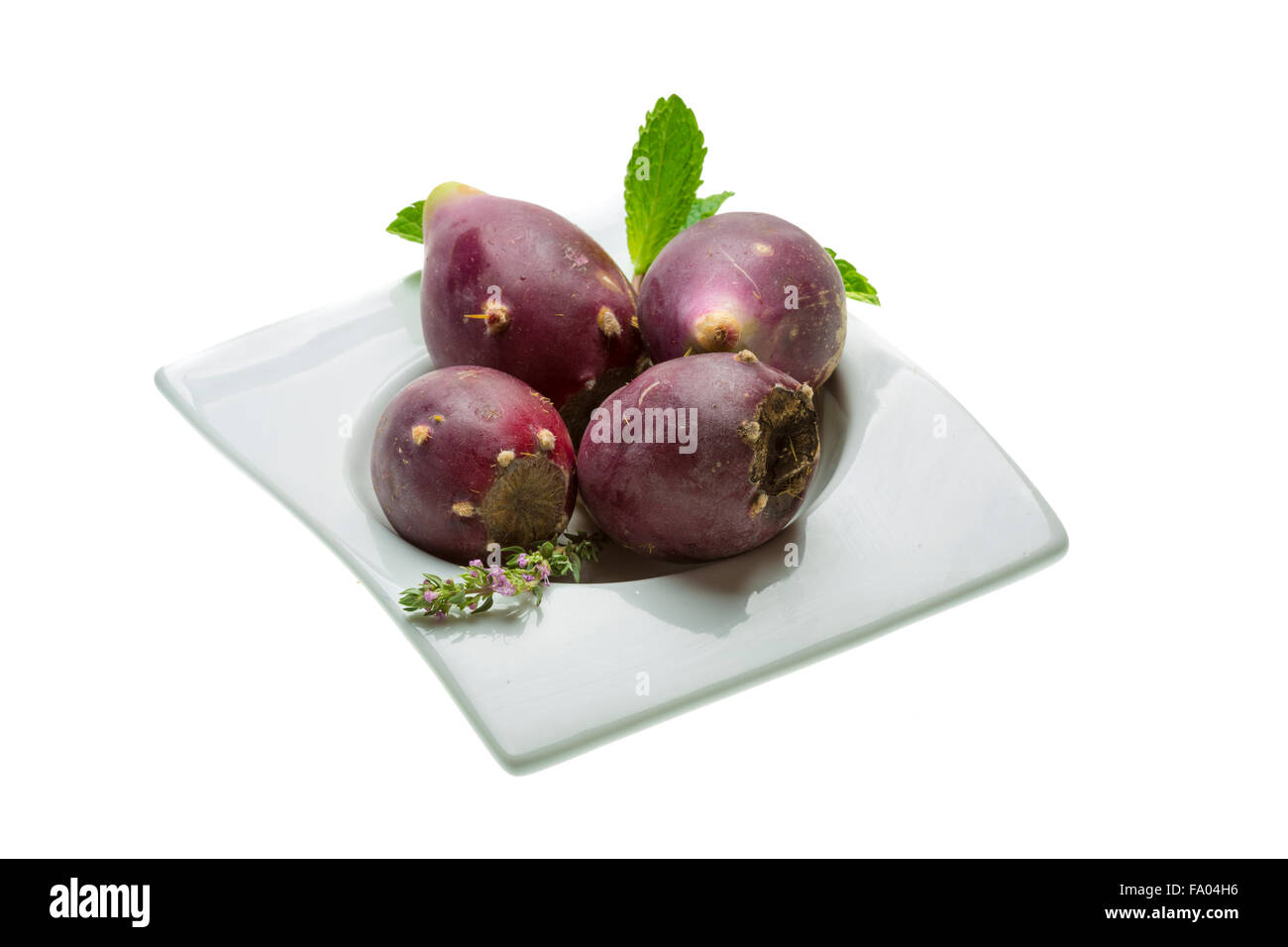 Indian thistle Cut Out Stock Images & Pictures - Alamy