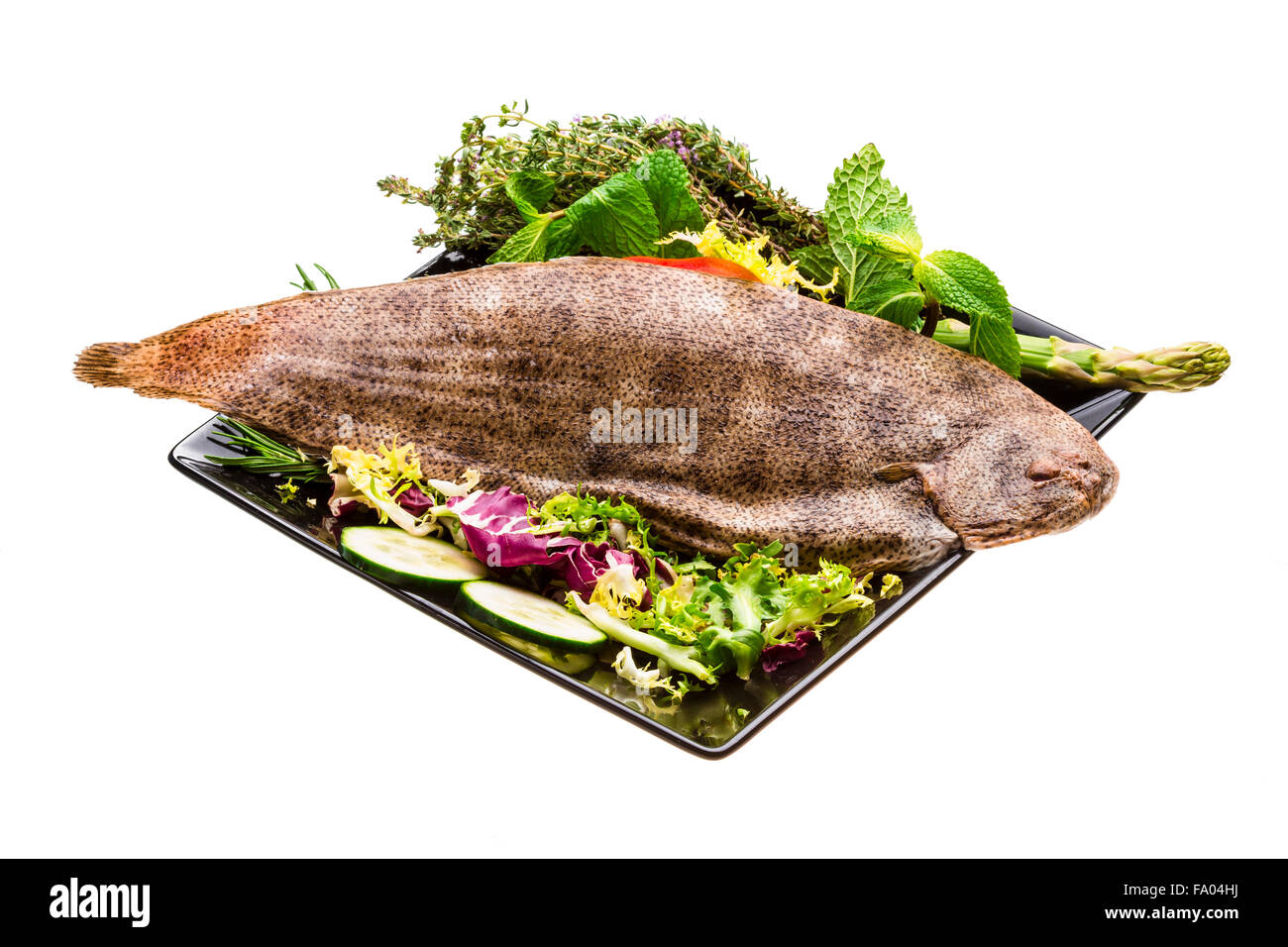 Fish Dover sole Stock Photo - Alamy