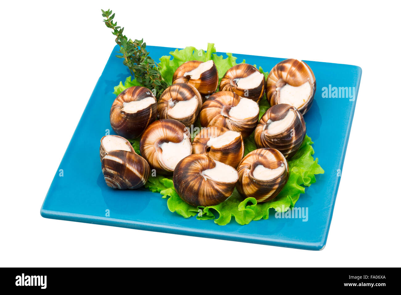 Escargot with cheese sauce Stock Photo - Alamy