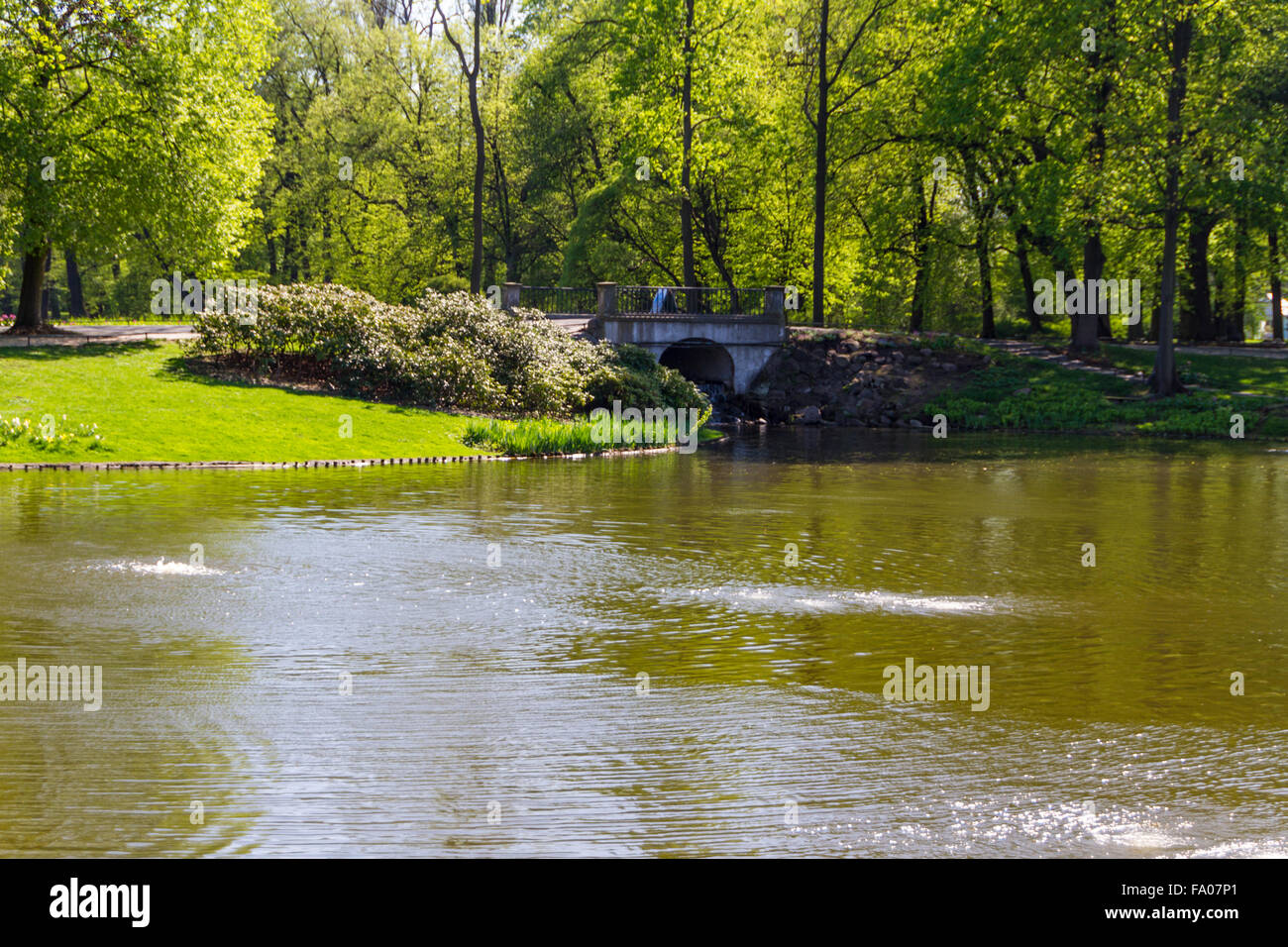 summer park, trees Stock Photo - Alamy