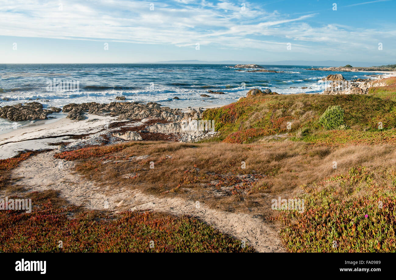 Foot path to the ocean beach hi-res stock photography and images - Alamy