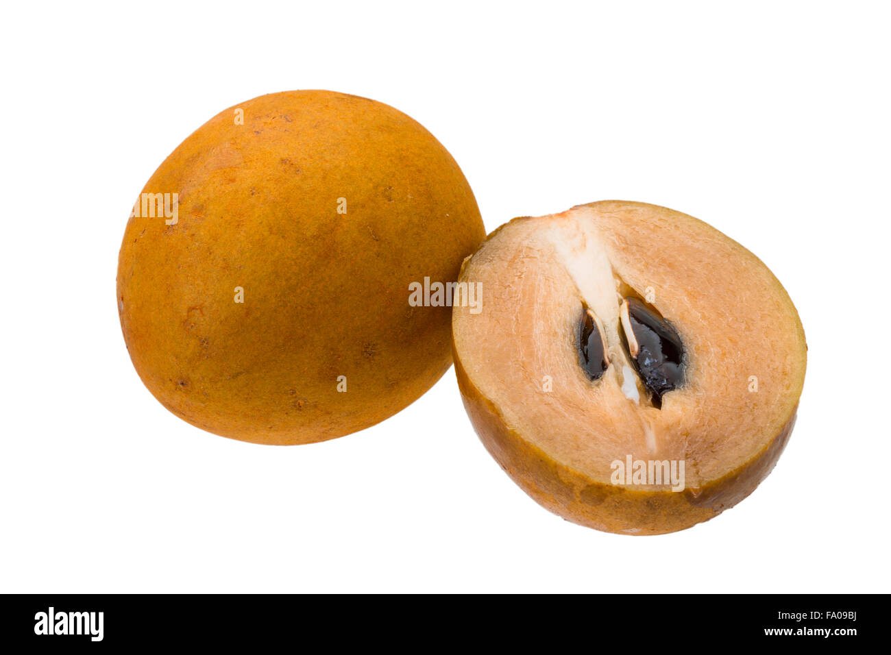 Sapodilla gum hi-res stock photography and images - Alamy