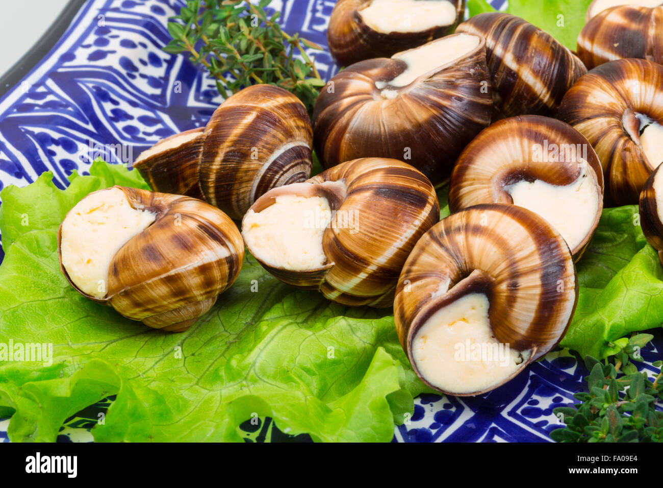 Escargot with cheese sauce Stock Photo - Alamy