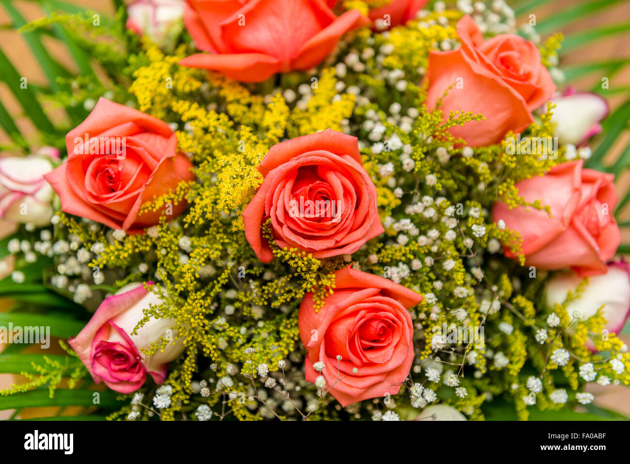 Nice roses in celebration concept Stock Photo - Alamy