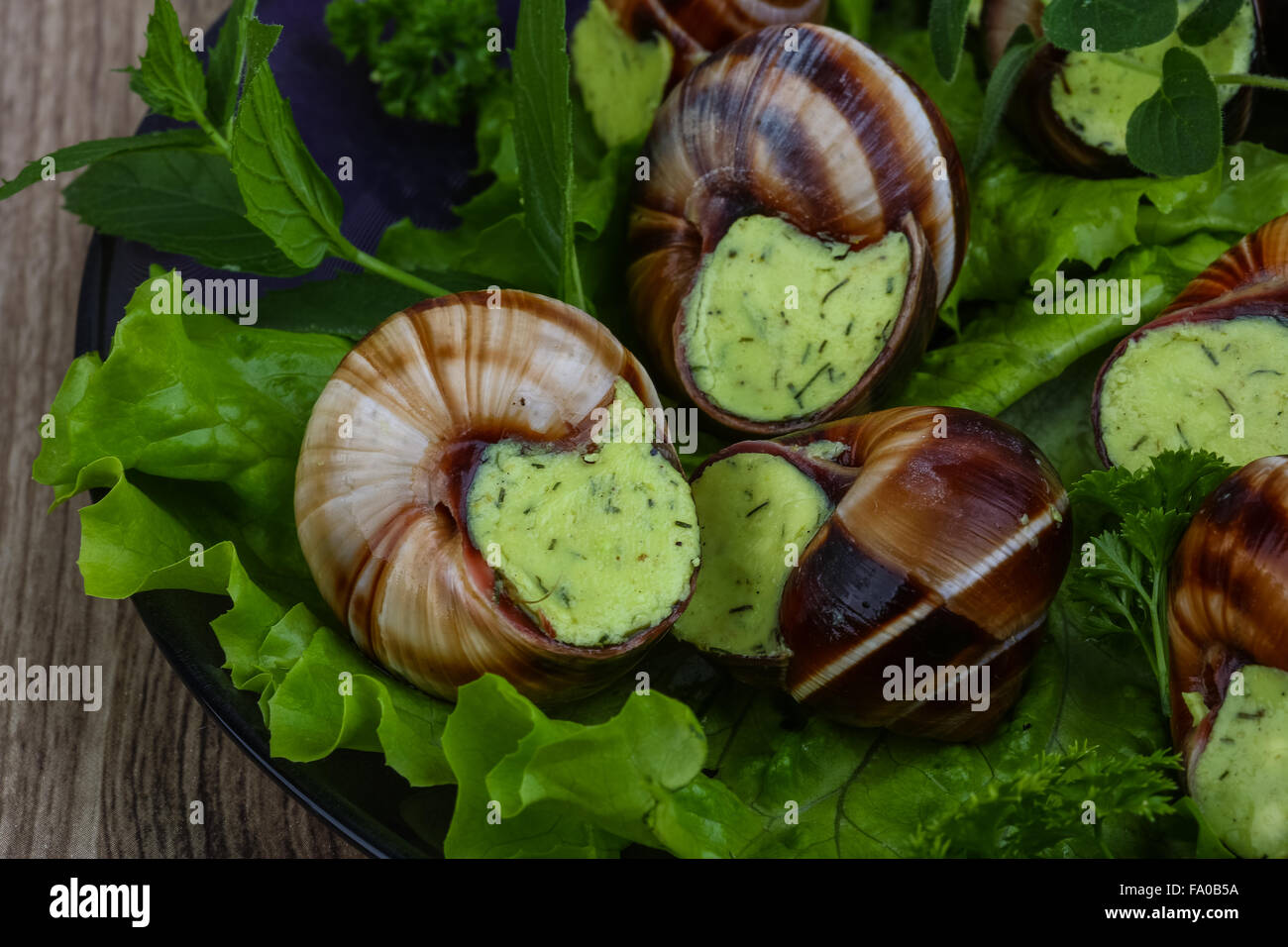 French cuisine - Escargot with butter, parsley and salat leaves Stock ...