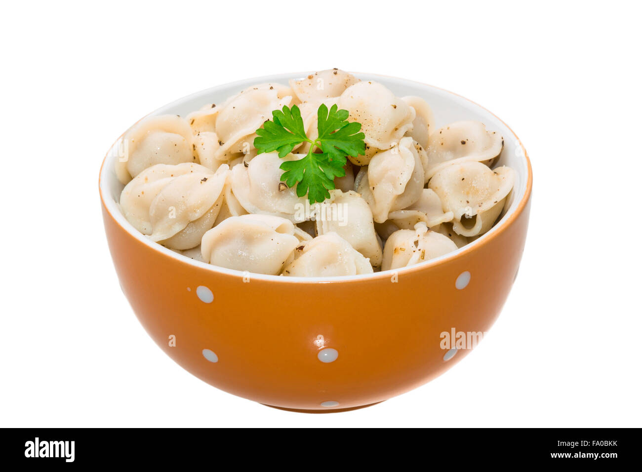 Russian dumplings with parsley Stock Photo - Alamy