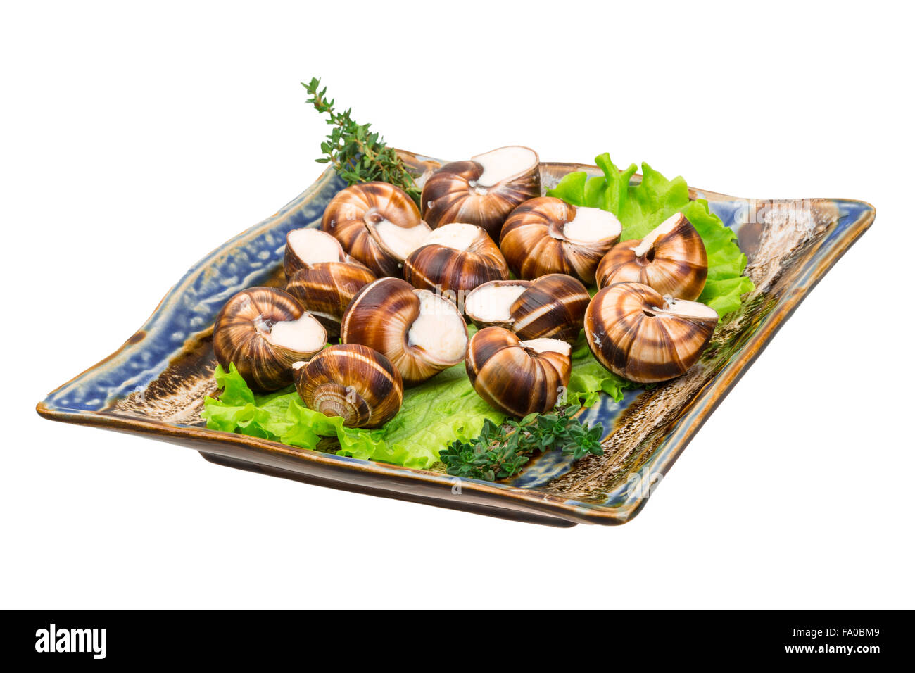 Escargot with cheese sauce Stock Photo - Alamy