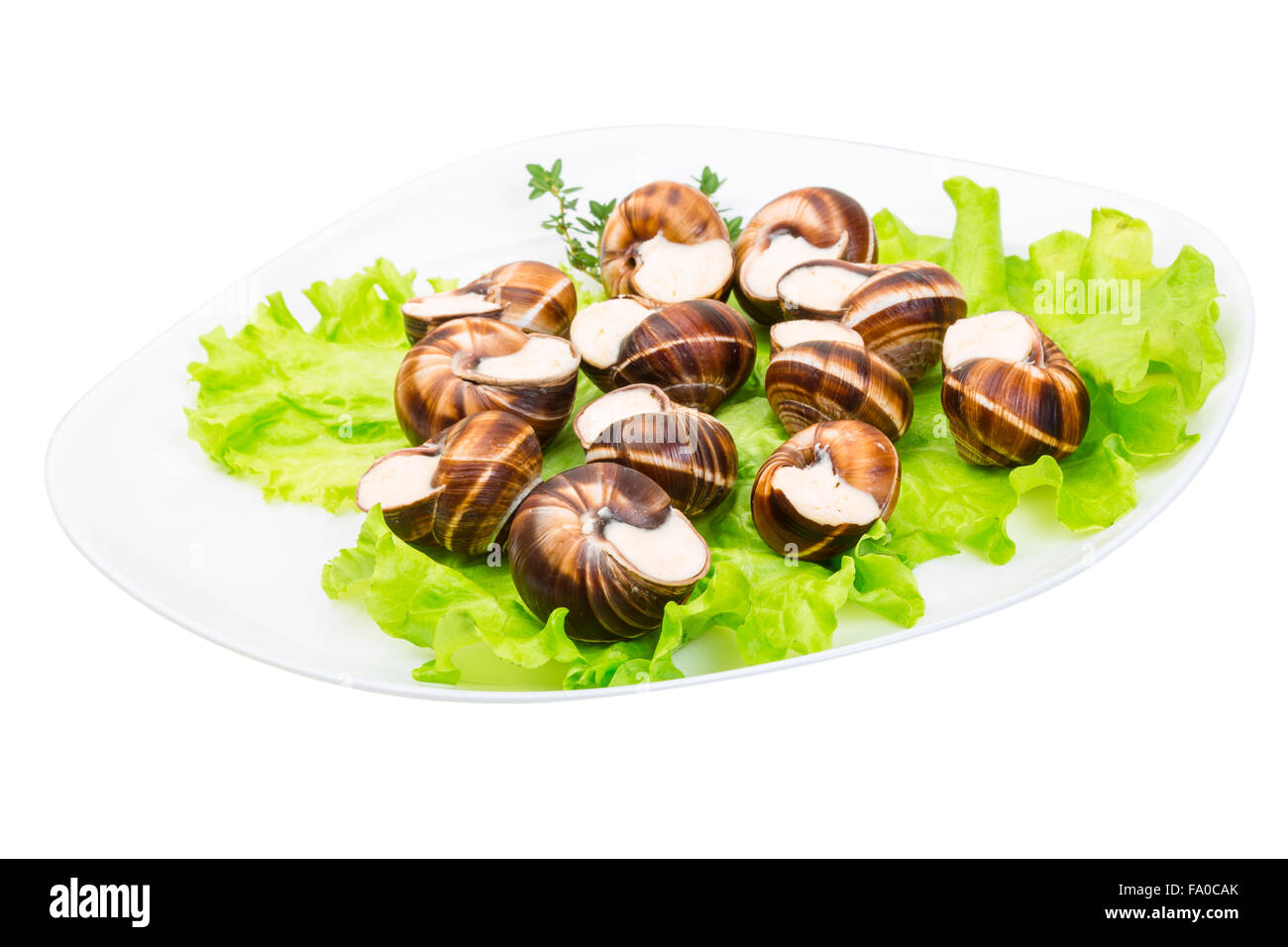 Escargot with cheese sauce Stock Photo - Alamy