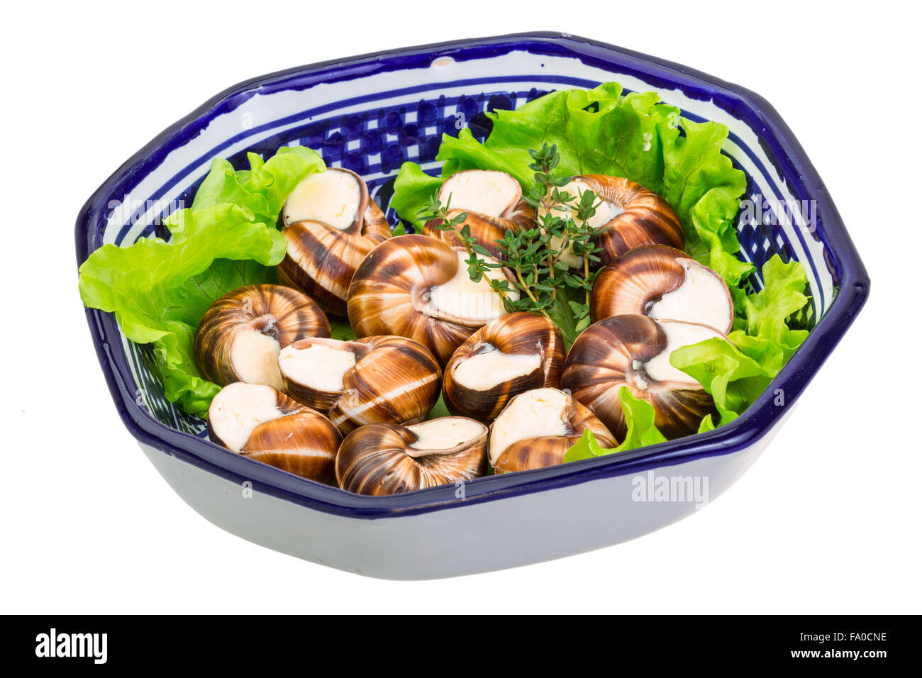 Escargot butter Cut Out Stock Images & Pictures - Alamy