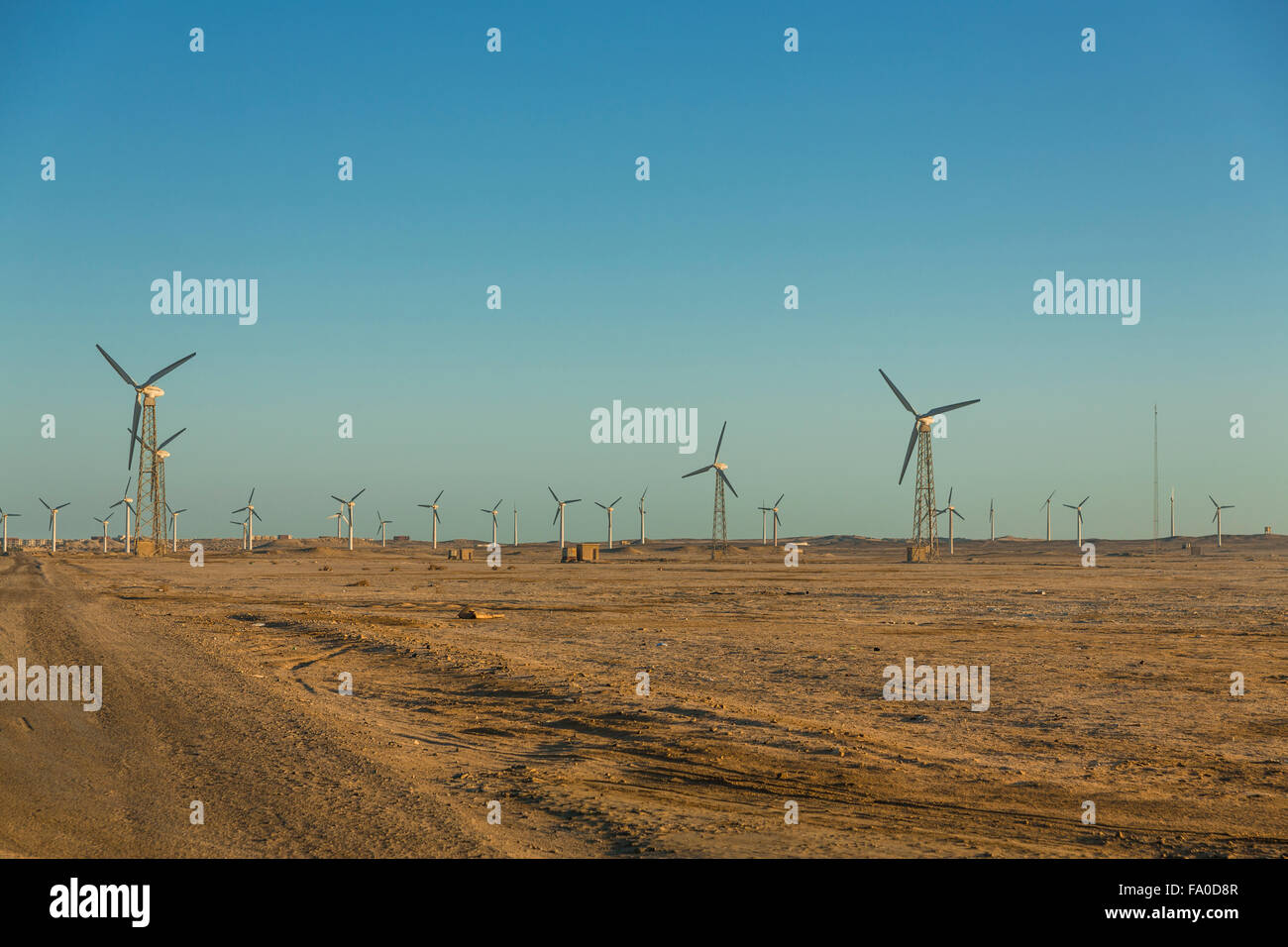 Wind farm in Egypt Stock Photo - Alamy