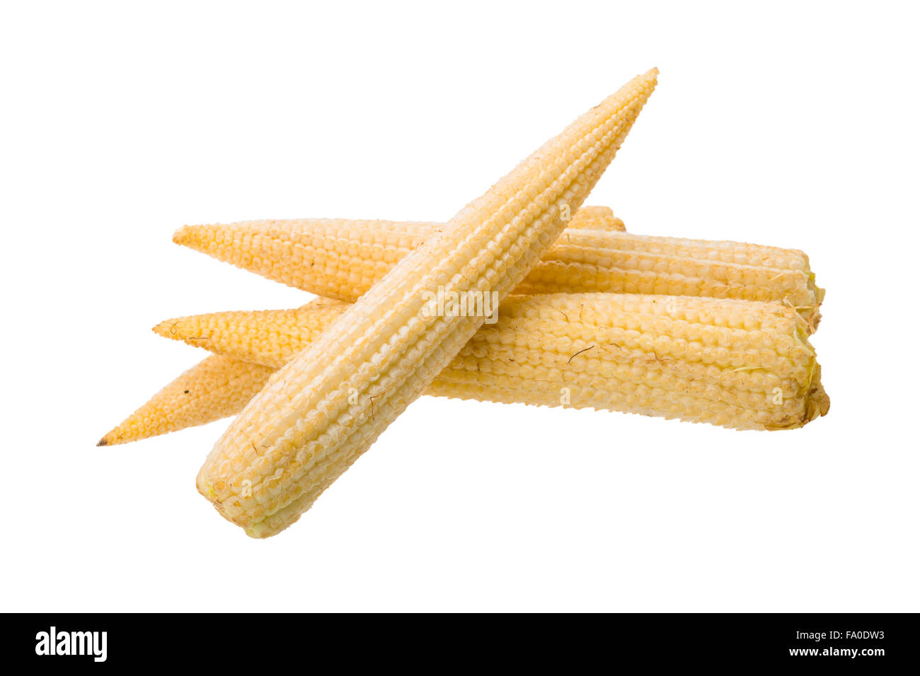 Baby corn isolated Stock Photo - Alamy