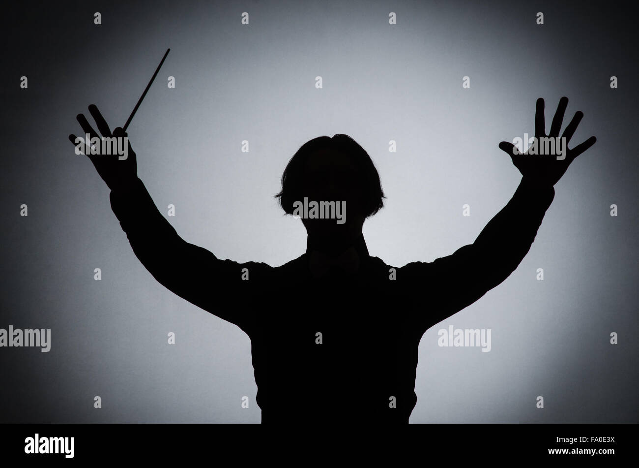 Funny conductor in musical concept Stock Photo - Alamy