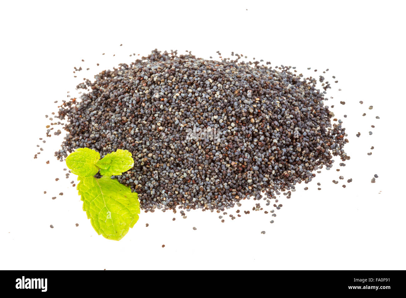 Poppy seed isolated Stock Photo - Alamy