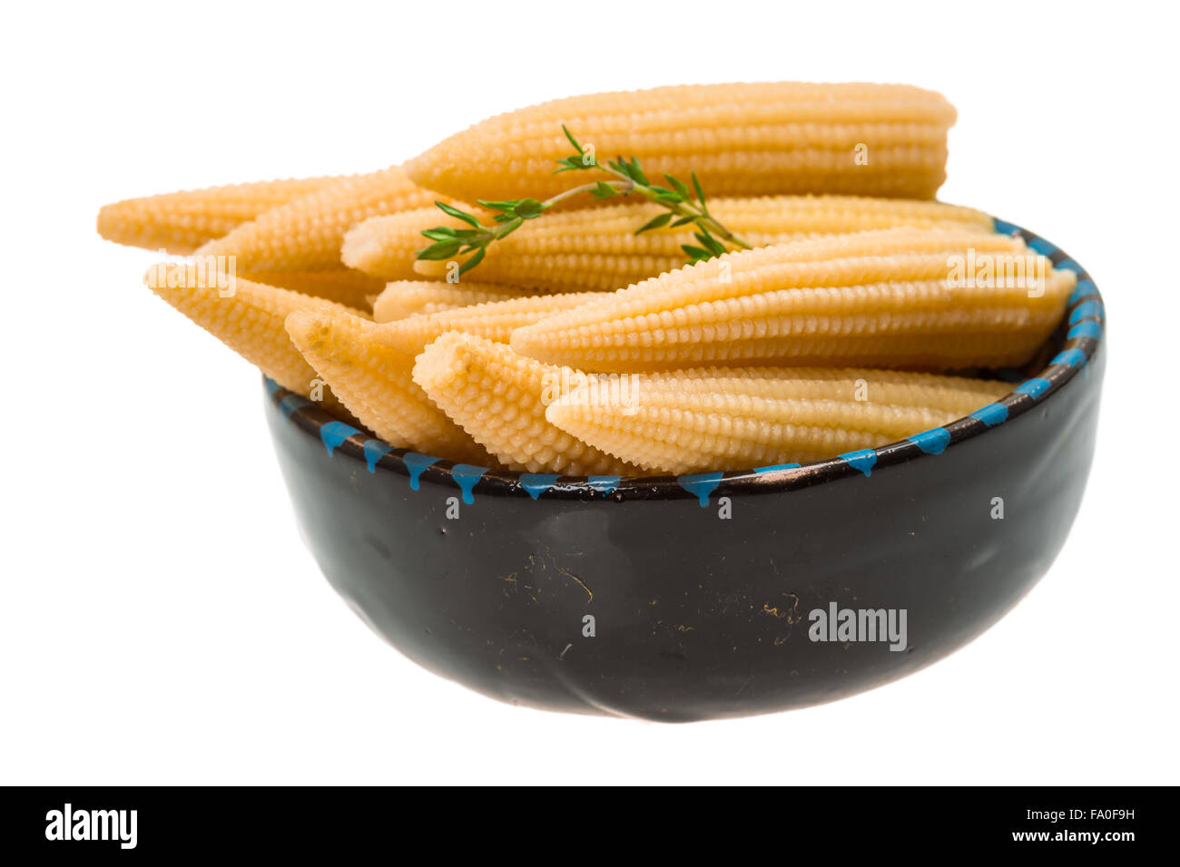 Baby corn isolated Stock Photo - Alamy