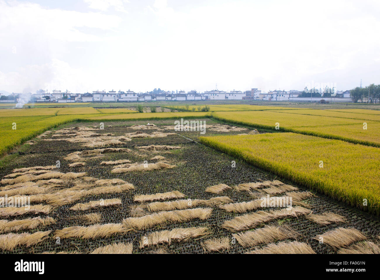 Linden Hotel Centre,Beautiful old conversion of family residence,Rice ...