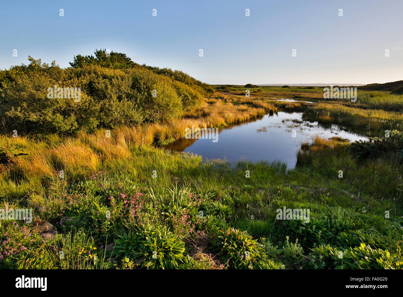 Marazion; RSPB Reserve Cornwall; UK Stock Photo - Alamy