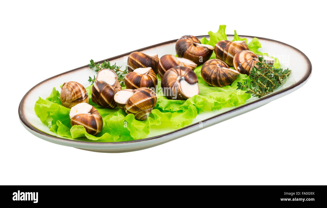 Escargot with cheese sauce Stock Photo - Alamy