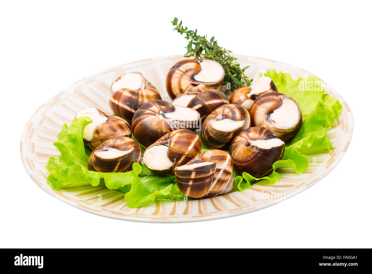 Escargot with cheese sauce Stock Photo - Alamy