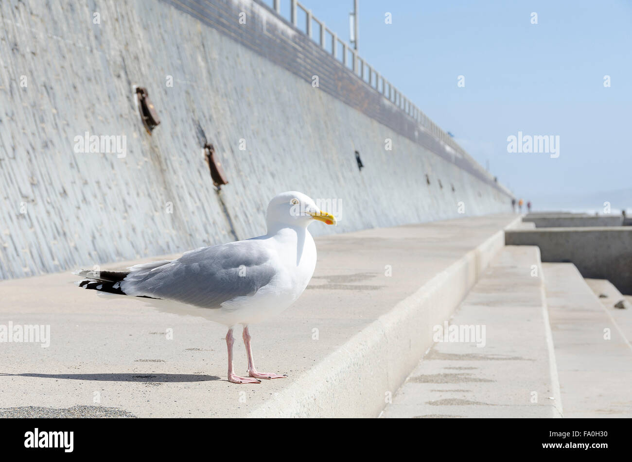 Tywyn promenade hi-res stock photography and images - Alamy
