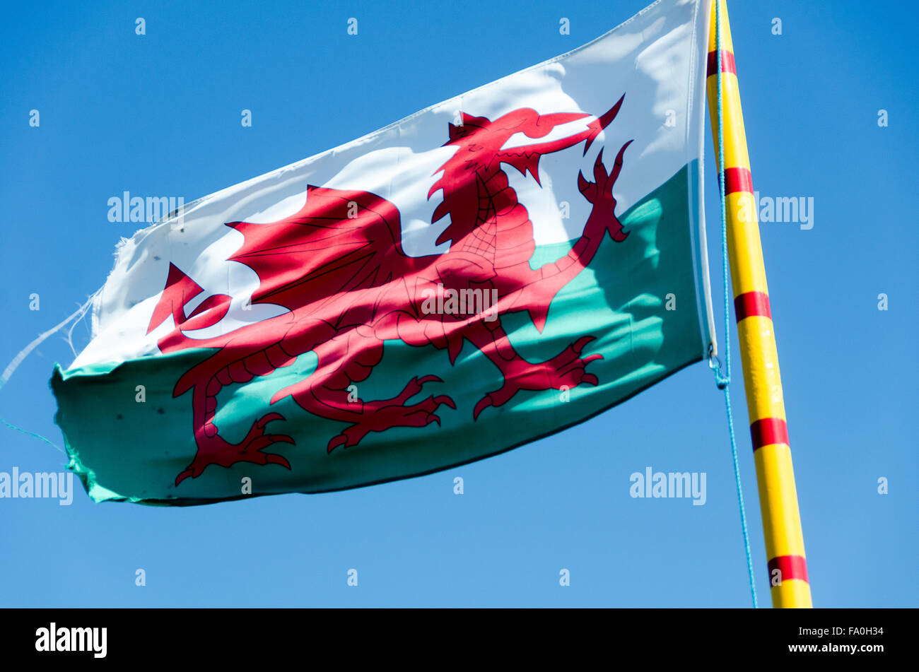 Red Dragon Of Wales Stock Photos & Red Dragon Of Wales Stock Images - Alamy