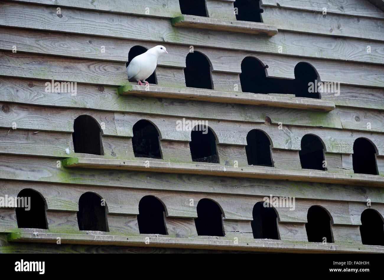 Dove house dovecot hi-res stock photography and images - Alamy