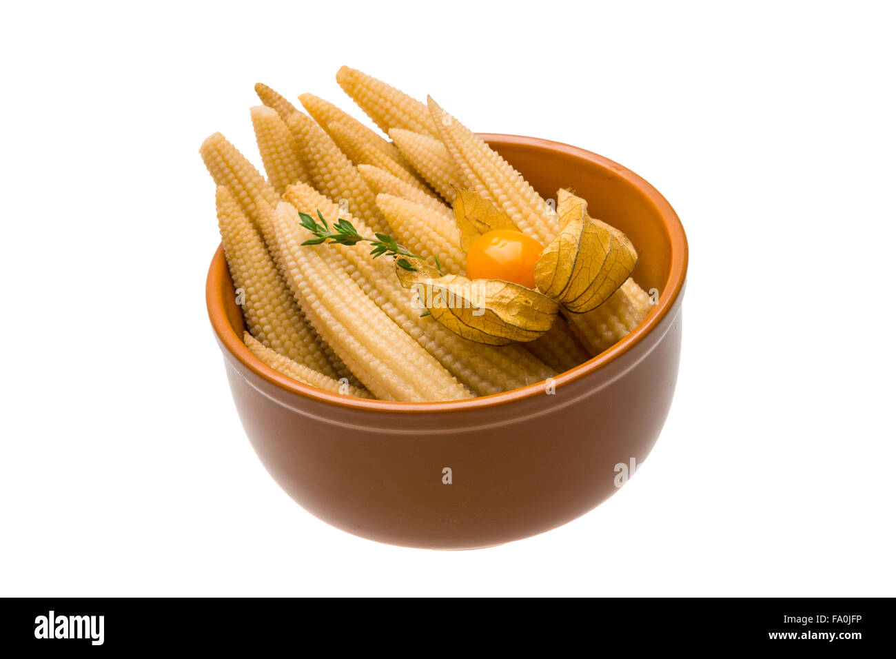 Baby corn isolated Stock Photo - Alamy