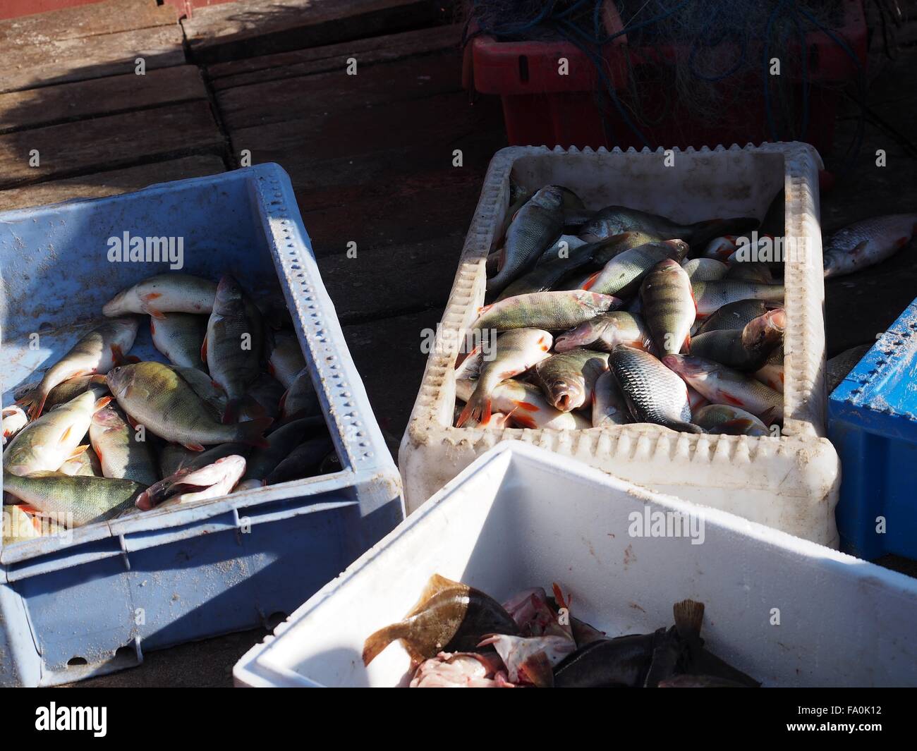 Wooden fish boxes hi-res stock photography and images - Alamy