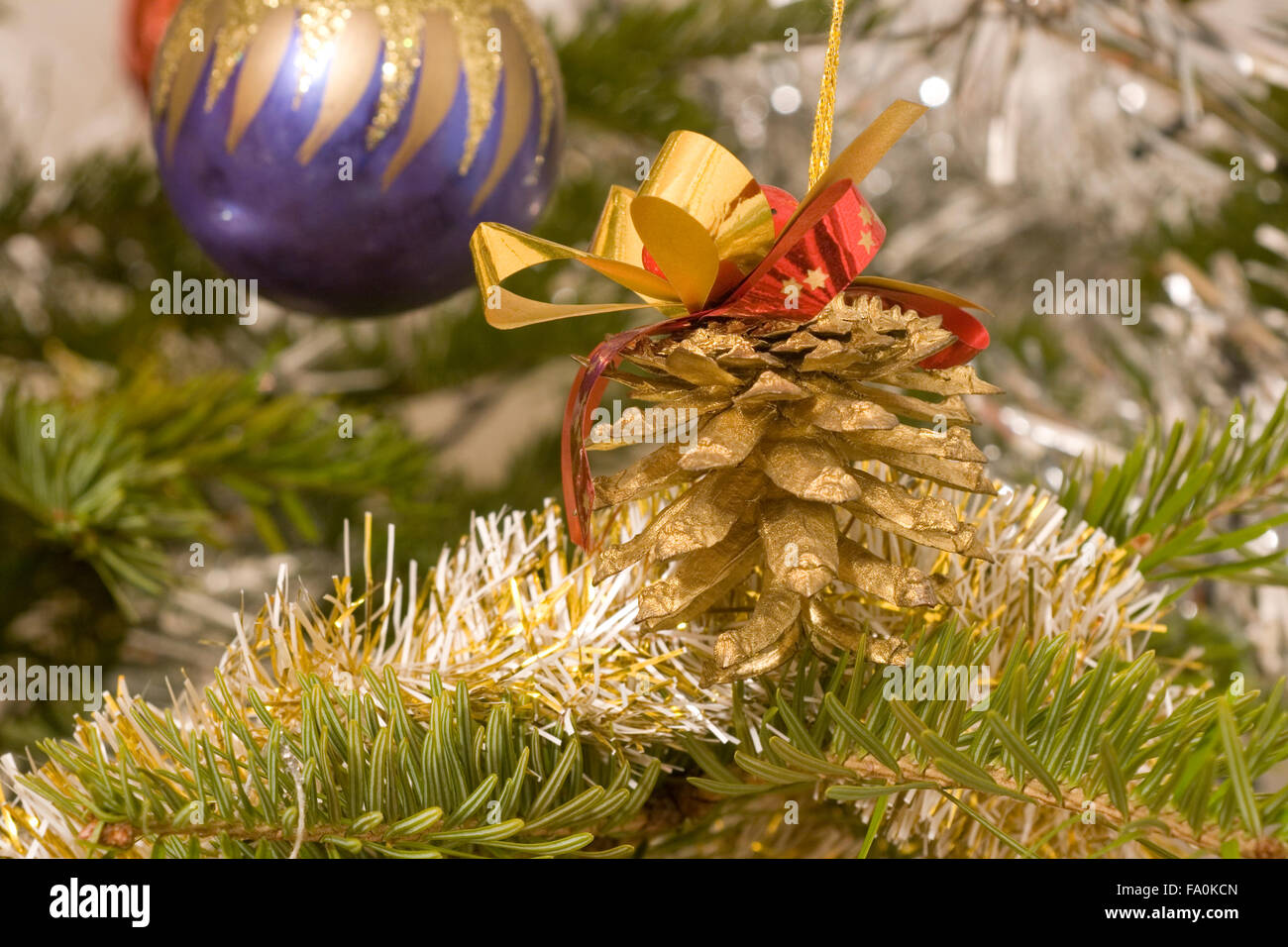 Hanging in a pine tree hi-res stock photography and images - Alamy