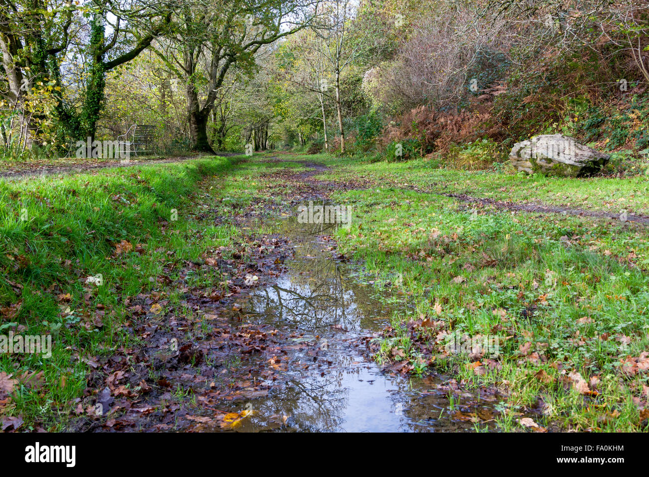 A Wet Country View Along Rolle Road, Site of the Victorian Rolle Canal ...