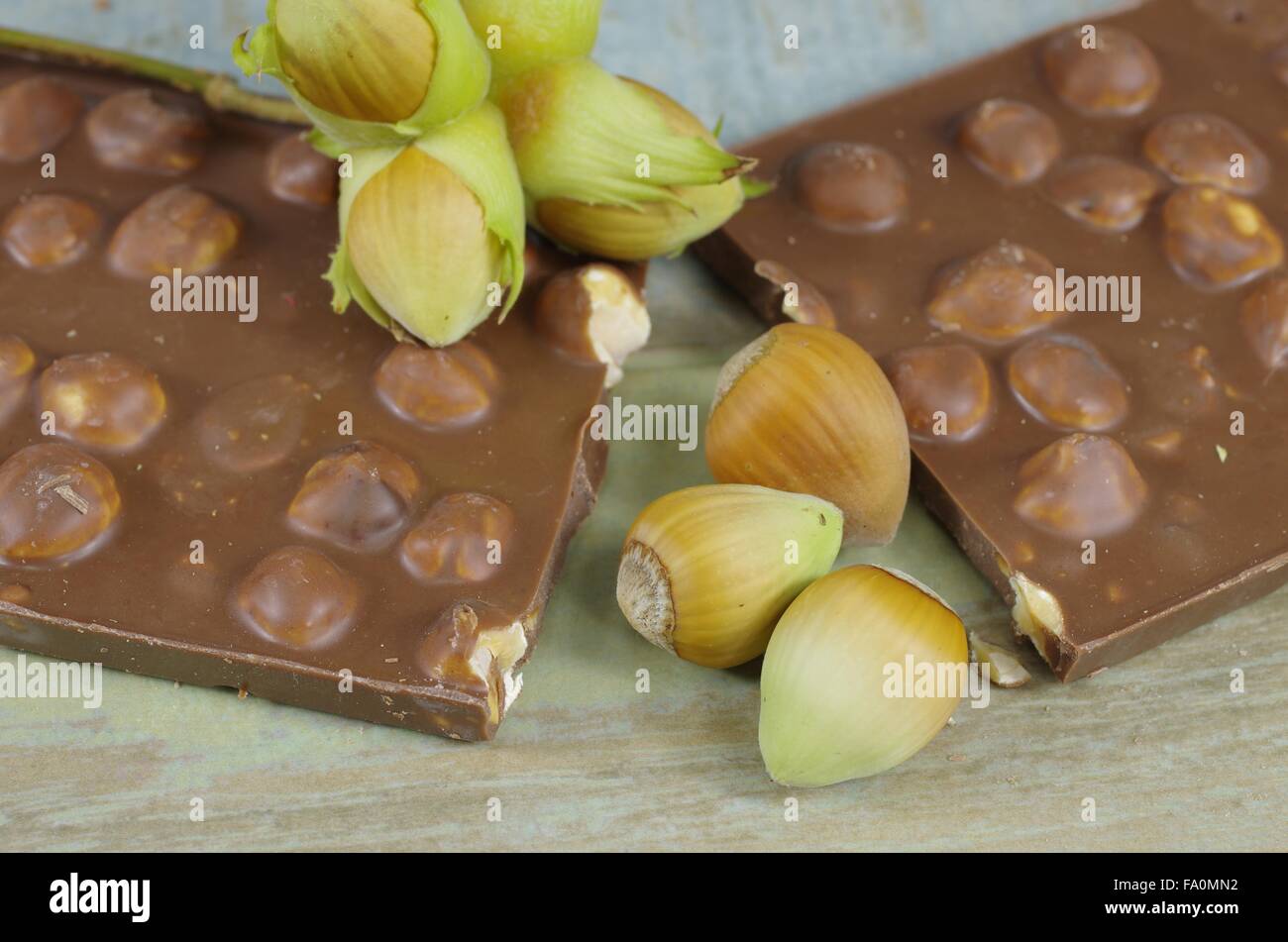 Shiny brown nut shells hi-res stock photography and images - Alamy