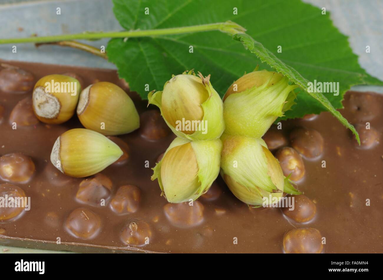 Shiny brown nut shells hi-res stock photography and images - Alamy
