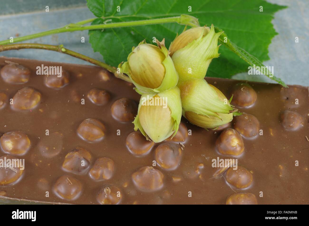 Shiny brown nut shells hi-res stock photography and images - Alamy