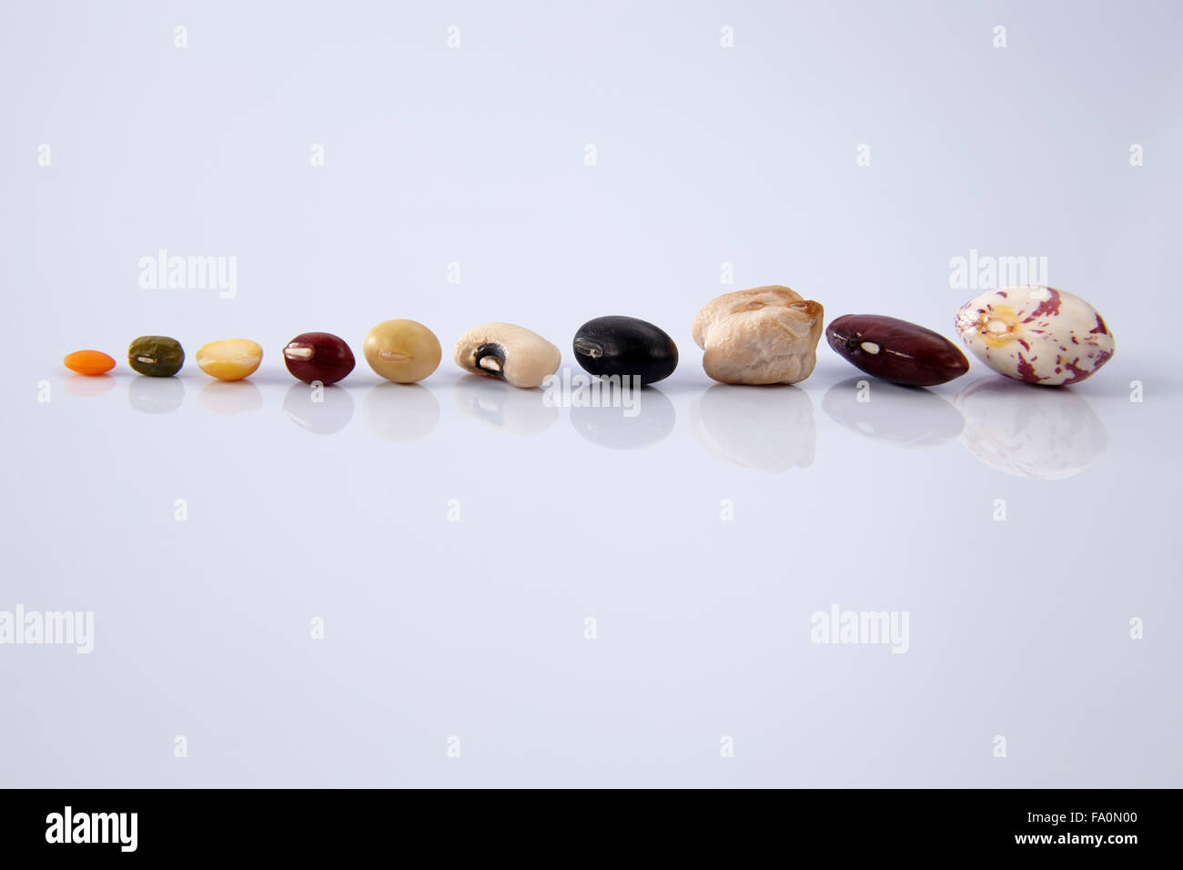 different legumes - lentils, beans and peas Stock Photo - Alamy