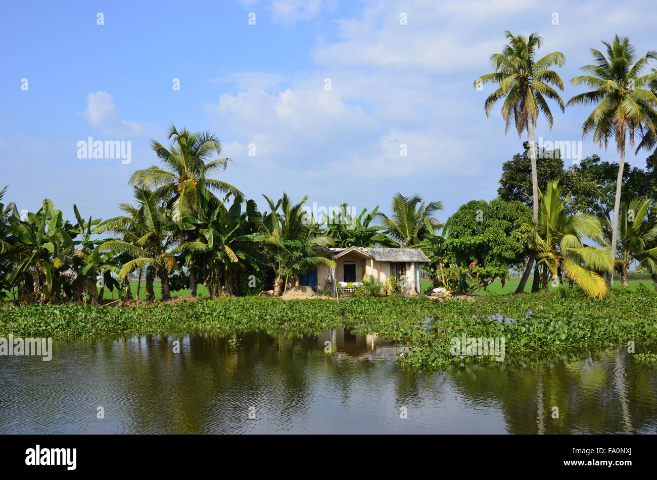 Alleppey, is the administrative headquarters of Alappuzha District of ...