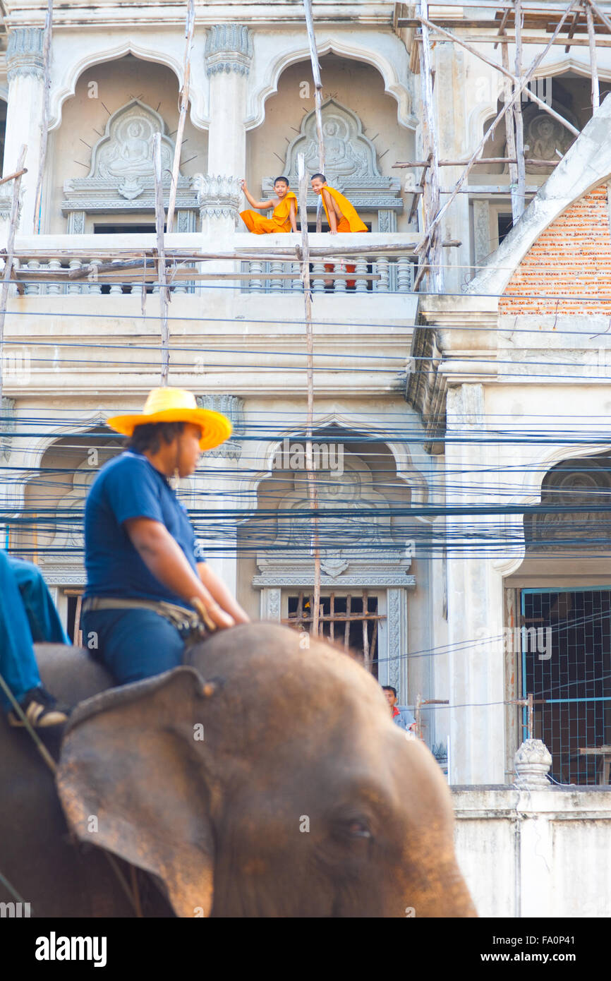 Young boy monks watching the elephant parade from a bird's eye view on ...