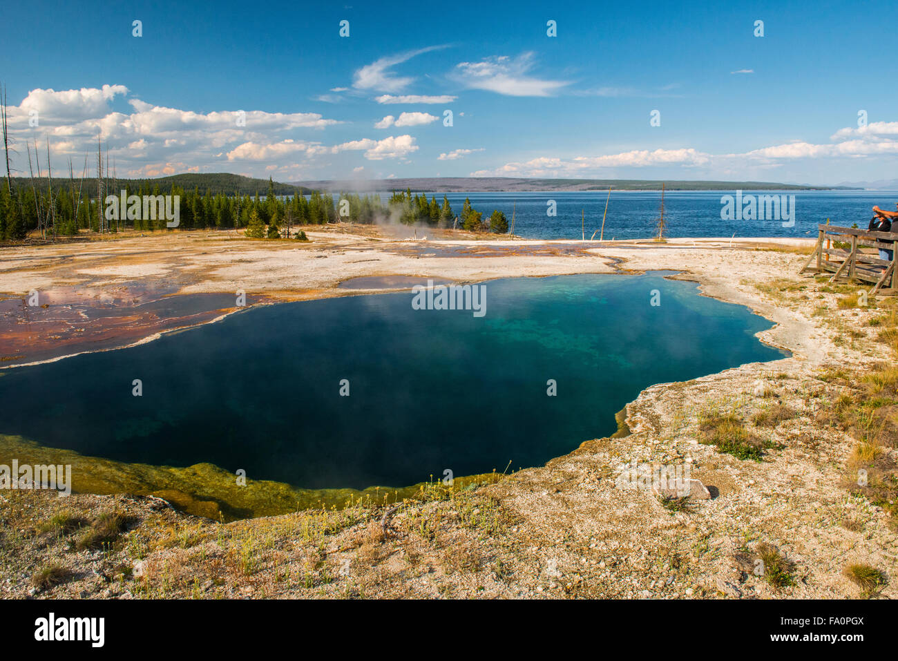 Natural hot spring, Yellowstone National Park Stock Photo - Alamy