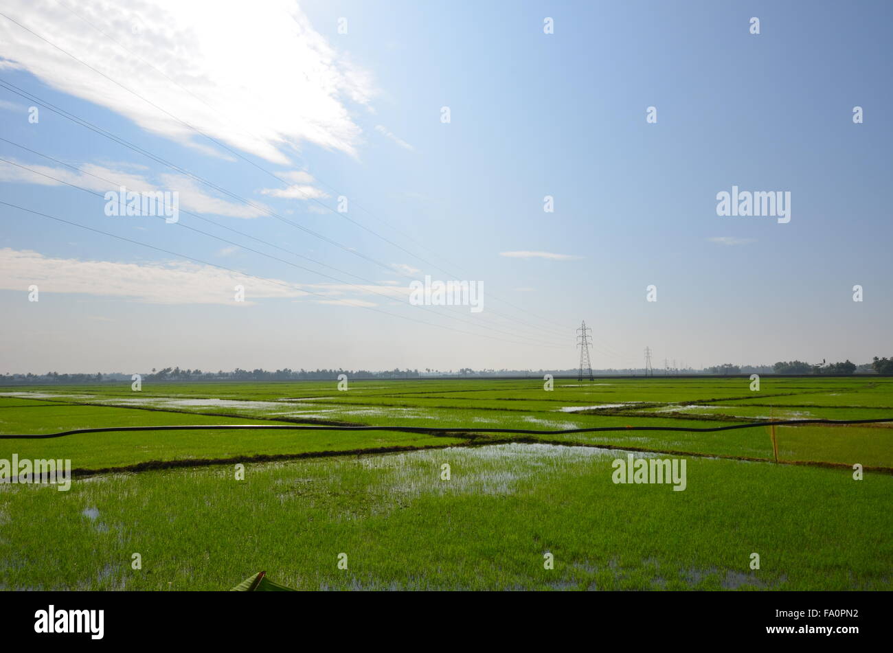 India rice field building hi-res stock photography and images - Alamy