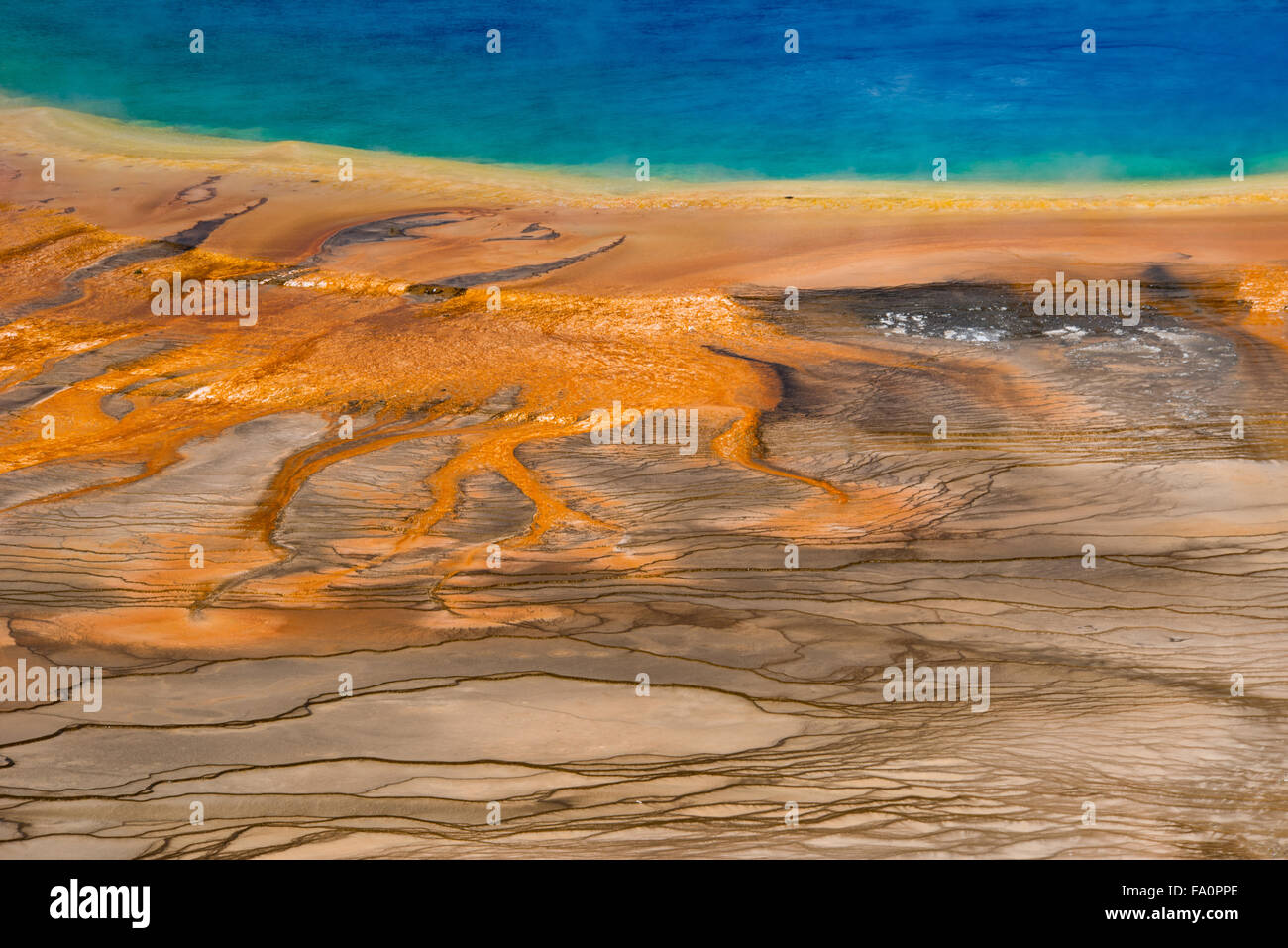 Grand Prismatic Spring, Yellowstone National Park, Wyoming Stock Photo ...