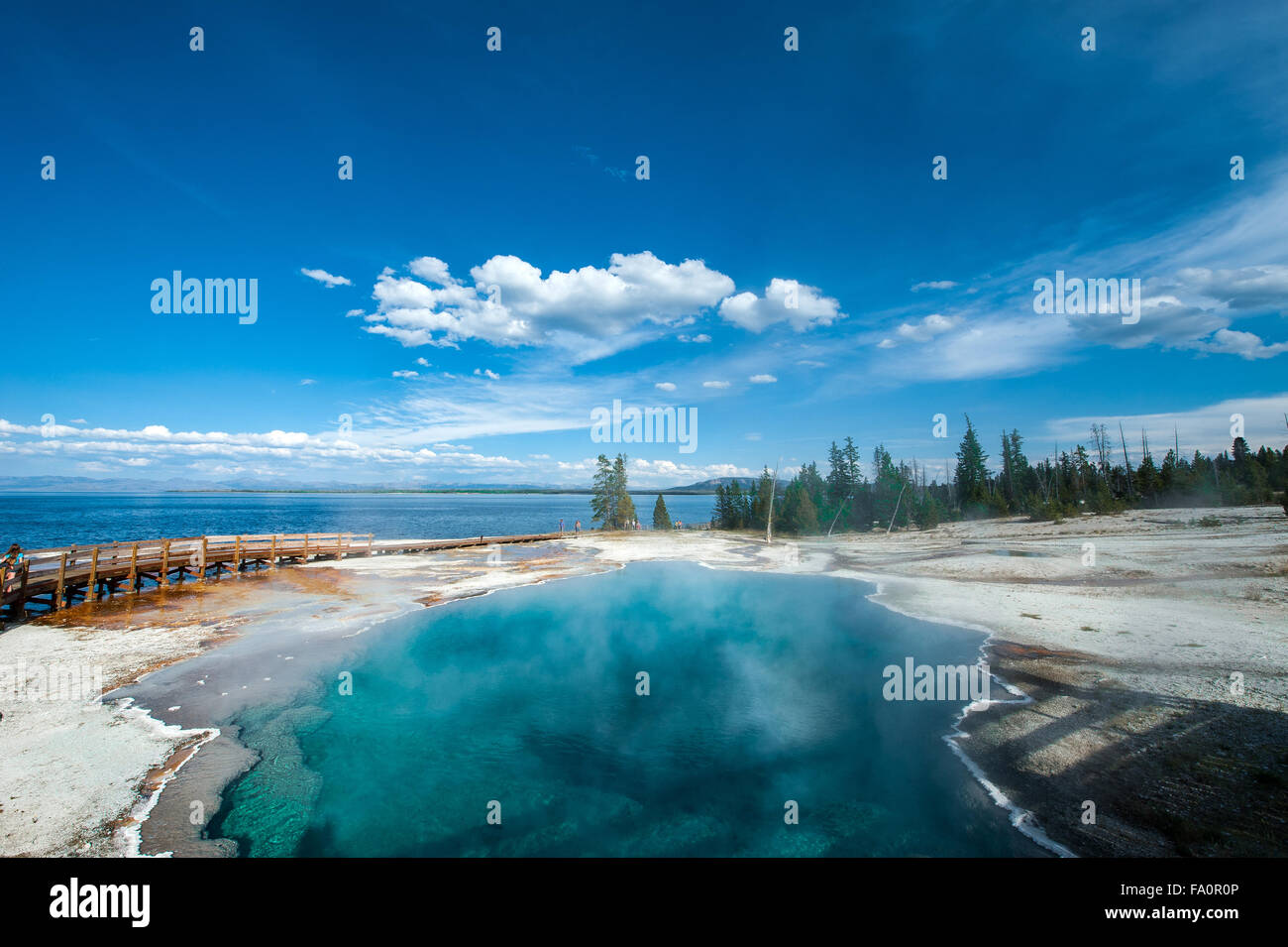 Natural hot spring, Yellowstone National Park Stock Photo - Alamy