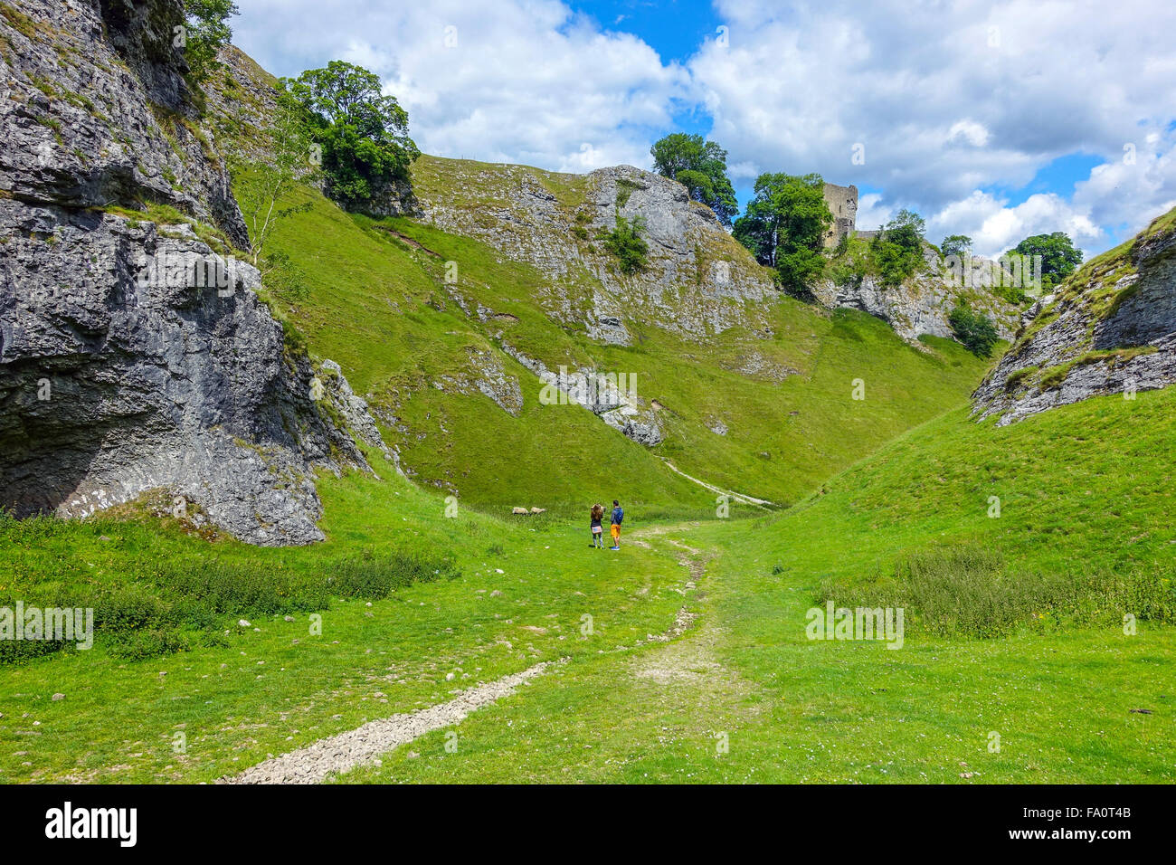 Two walkers hikers in Cavedale with sheep and Pevril Castle, Castleton ...